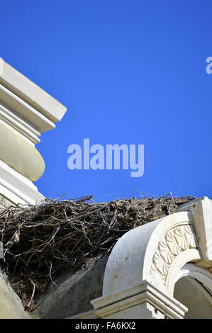 Storks nesting in Faro Stock Photo - Alamy