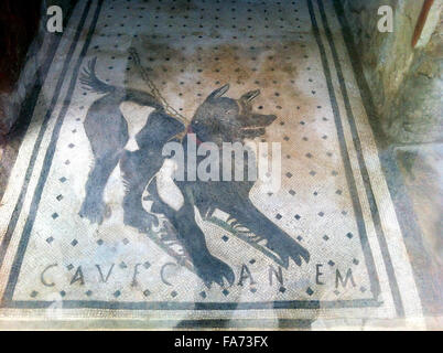 Italy. Pompeii. "The Cave Canem" (Beware of the dog). Mosaic in the ...