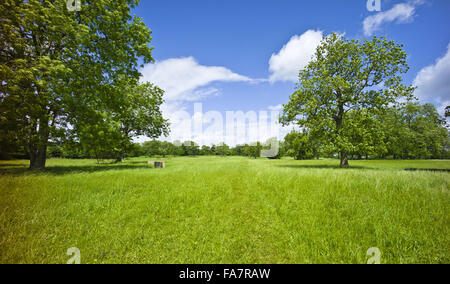 Bushey Norwood on the Bath Skyline walk, Somerset. The Bath Skyline ...