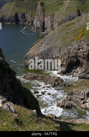 View across the cliffs at Lydstep Headland in Pembrokeshire, Wales ...