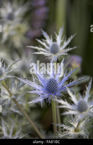Woolbeding Gardens, West Sussex. Woolbeding is a modern masterpiece ...