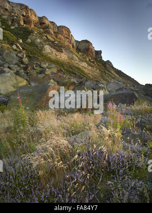 The disused Loftus Alum Works, North Yorkshire. The alum works were in ...