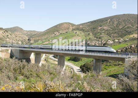 AVE, Spanish high speed train Stock Photo - Alamy