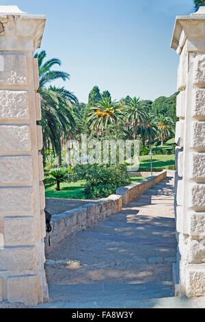palm trees in Monserrato park in Sassari, Sardinia Stock Photo - Alamy