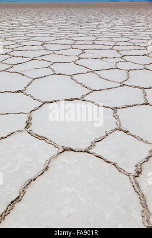Hexagonal shapes in the salt flats at Uyuni, Bolivia Stock Photo - Alamy