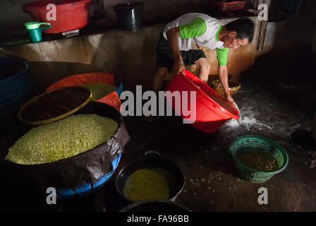 A worker is draining excess water from a plastic bucket where mung ...