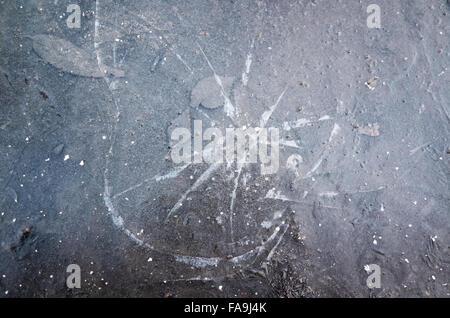 Puddle with a layer of ice Stock Photo - Alamy