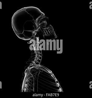 Human neck bending backwards, computer illustration Stock Photo - Alamy