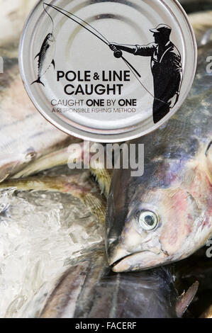 sustainably caught, pole and line Tuna fish cans Stock Photo - Alamy