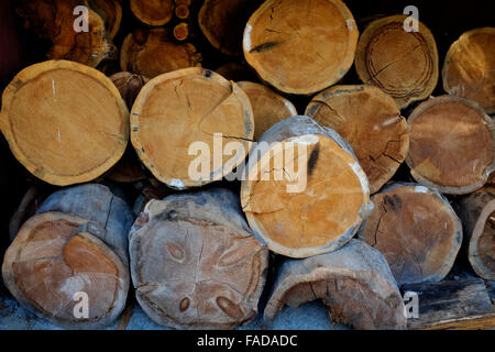stack of firewood in forest for furniture Stock Photo - Alamy