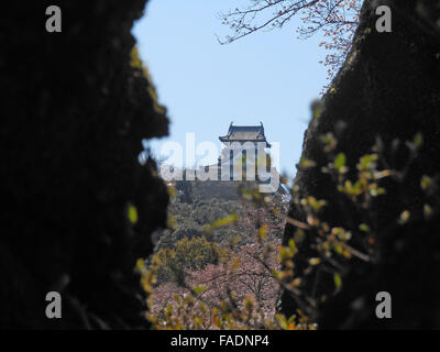Inuyama caslte Gifu in Japan Stock Photo - Alamy