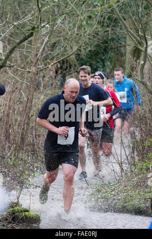 The Great Brook Run 2015 Stock Photo - Alamy
