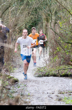 The Great Brook Run 2015 Stock Photo - Alamy