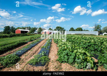 Scenic farm Landscape in Pennsylvania Stock Photo: 92513319 - Alamy