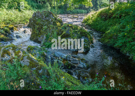 Waterfalls under the bridge at Talla, Tweeddale, Scottish Borders, with ...