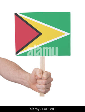 Flag of Guyana isolated on white background with copy space above. 3D ...