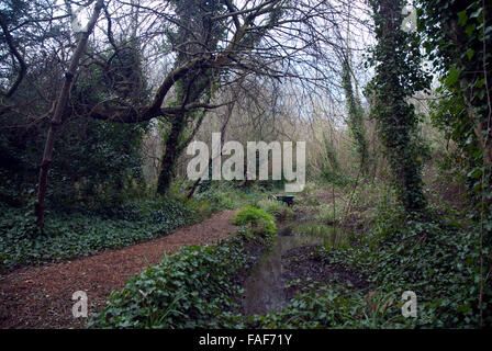Gunnersbury Triangle Nature Reserve, Chiswick West London, England UK ...