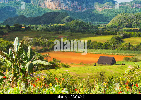 Cuba, Vinales, valley with tobacco farms and karst hills ('magotes ...