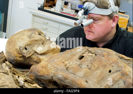 Hildesheim, Germany. 14th Dec, 2015. Jens Klocke examines a mummy of ...