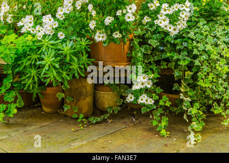 flower pots in streets of Pienza, Italy Stock Photo - Alamy