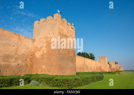 Almohad city wall of Rabat, Morocco Stock Photo - Alamy
