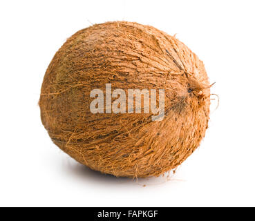 One whole coconut on white background Stock Photo - Alamy