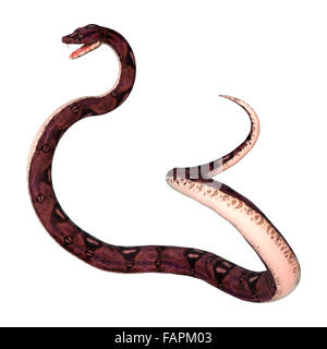 3D digital render of an anaconda snake isolated on white background ...