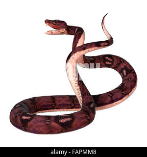 3D digital render of an anaconda snake isolated on white background ...