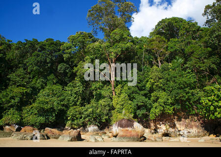 Beach with rocks and rainforest, Permai Rainforest, Santubong, South ...