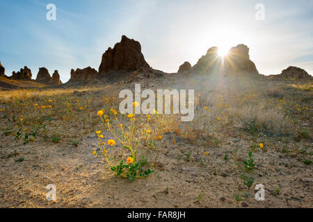 Trona Pinnacles near Ridgecrest, California Stock Photo - Alamy