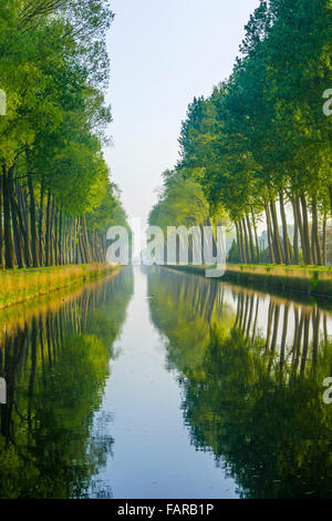 The tree lined Damse Vaart (Bruges-Sluis) canal at Damme in Belgium in ...