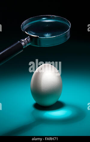 Egg and magnifier, Isolated on colour background Stock Photo - Alamy