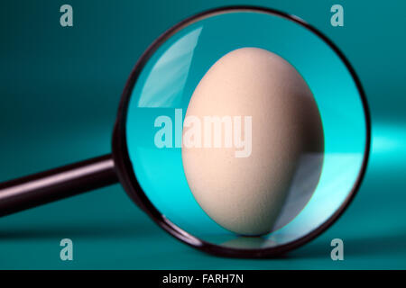 Egg under magnifier, Isolated on colour background Stock Photo - Alamy