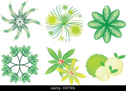 An Illustration Collection of Landscaping Treetop Symbols or Isometric ...