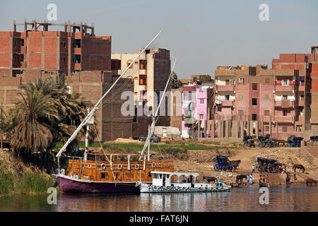 A dahabiya sailing on the river Nile Egypt, near the bank with palms ...