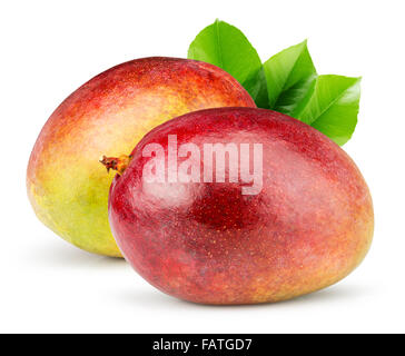 mangoes isolated on white background, with clipping path Stock Photo ...