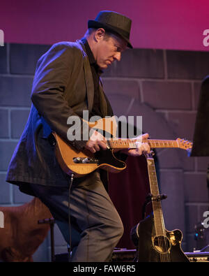 Wild Honey Presents: Iain Matthews & Christine Collister and Au Pair ...