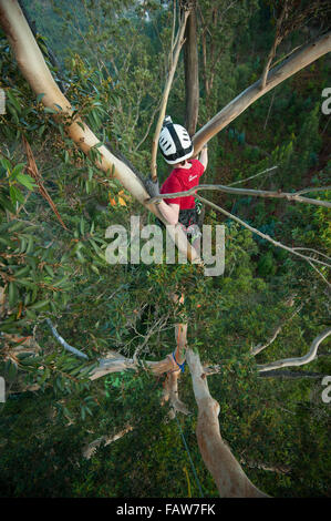 Coimbra, Portugal. 26th Sept, 2015. Vicki Tough climbing Karri Knight ...