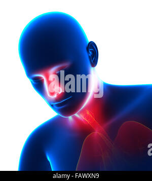 Cold in the head - Flu Sneeze Male concept - Human Sinuses Anatomy ...