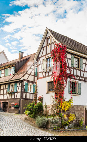 Half-timbered houses, the colors black, white and green, Radevormwald ...