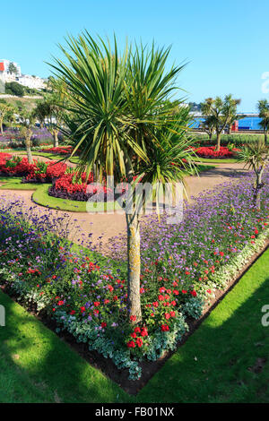 Palm trees in Torquay, Devon, England, UK Stock Photo - Alamy