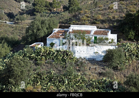 Alcaucin Spanish Spain Andalusia ( Sierras of Tejeda, Almijara and ...
