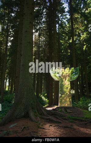 Tyrebagger Forest Walk - near Aberdeen, Scotland, UK Stock Photo - Alamy