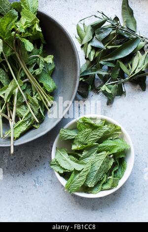 high angle view of a ceramic bowl full of dry anise seeds on a rustic ...