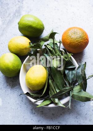 high angle view of a ceramic bowl full of dry anise seeds on a rustic ...