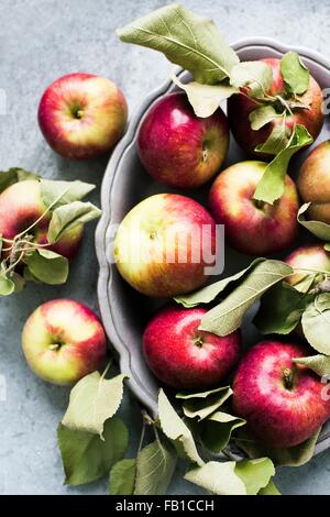 High-angle shot of a fresh dish with meat, cheese and greens on a black ...