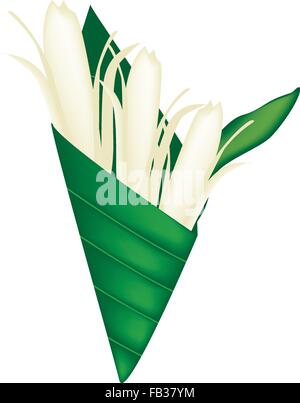 Beautiful Flower, Illustration of White Michelia Alba Flower or ...