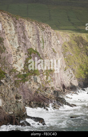 Cliffs at Dunquin, Dingle Peninsula, Ireland Stock Photo - Alamy