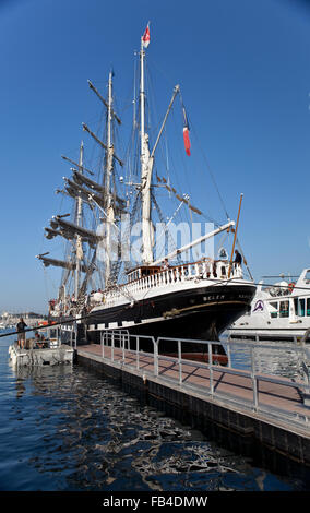 The French three masted barque Belem built 1896 - training tall ship ...