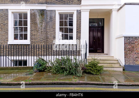 Abandoned Christmas trees lying in the streets Stock Photo - Alamy